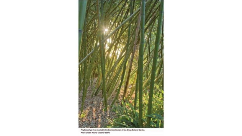 San Diego Botanical Garden Entry Ticket and Transportation - What Is the San Diego Botanical Garden Tour?