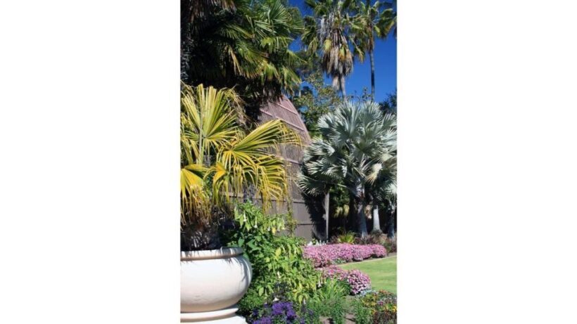 San Diego Botanical Garden Entry Ticket and Transportation - Highlights and Special Features