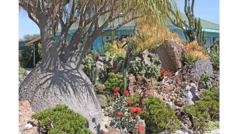 San Diego Botanical Garden Entry Ticket and Transportation - Who Should Consider This Tour?