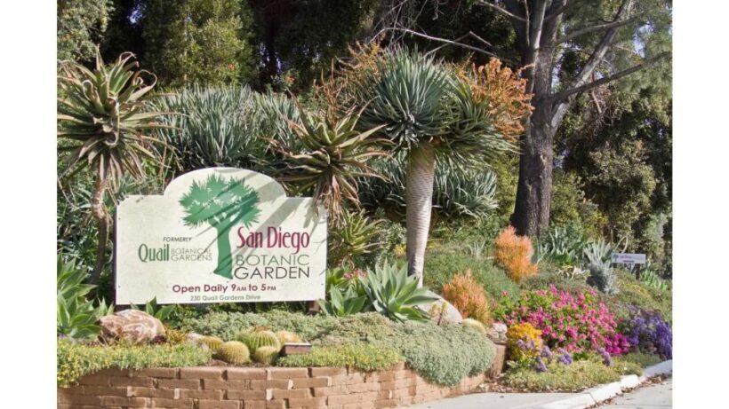 San Diego Botanical Garden Entry Ticket and Transportation - Final Thoughts