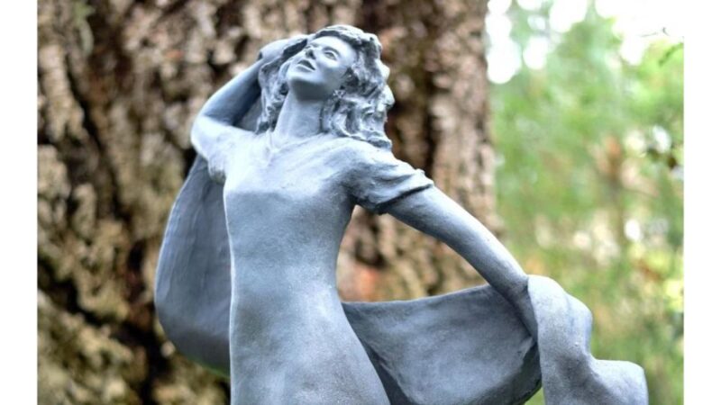 San Diego Botanical Garden Entry Ticket and Transportation - Authentic Experiences and Visitor Perspectives