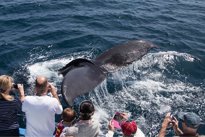 San Diego Explorer Pass: Save up to 50% - Includes San Diego Zoo - Practical Tips for Using the Pass