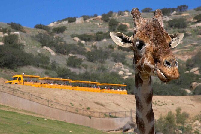 San Diego Explorer Pass: Save up to 50% - Includes San Diego Zoo - Who Is This Pass Best For?