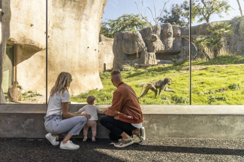 San Diego Explorer Pass: Save up to 50% on 45+ Attractions - Who Will Love the San Diego Explorer Pass?