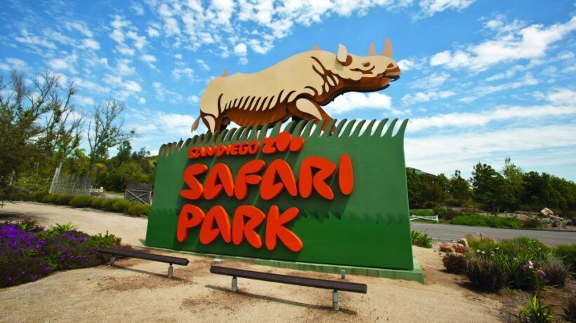 San Diego Explorer Pass: Tickets to 2-7 Attractions - Top Attractions and Tours