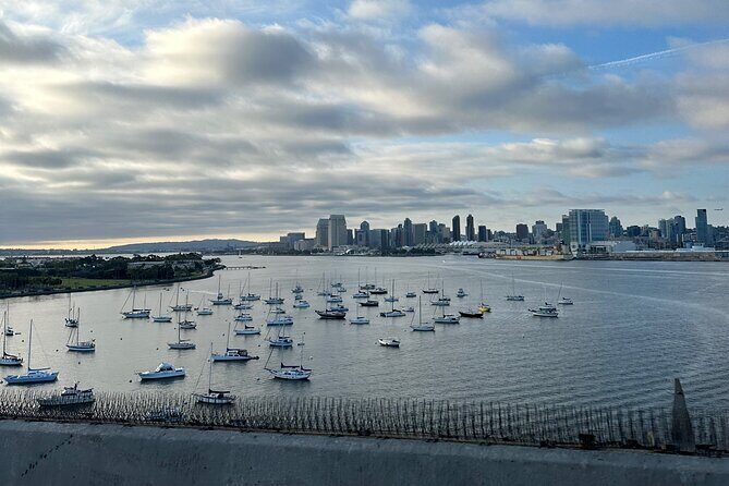 San Diego/gaslamp quarter/oldtown/little Italy/La Jolla tour - Who Will Love This Tour?