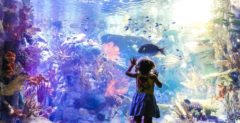 San Diego: Go City All-Inclusive Pass with 45+ Attractions - Value and Practical Considerations