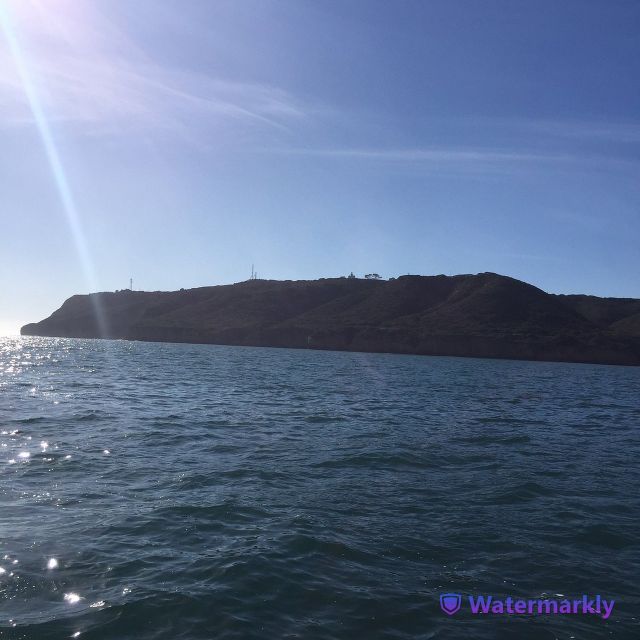 San Diego: Half-Day Marine Wildlife Tour with Lunch - Key Points