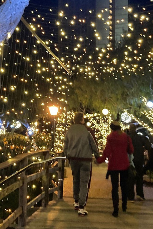 San Diego: Holiday Lights and Sights Trolley Tour - Who Should Consider This Tour?