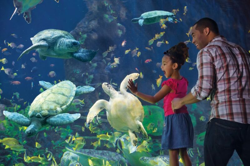 San Diego Pass: Save up to 50% - Includes LEGOLAND - Highlight Attractions and Experiences