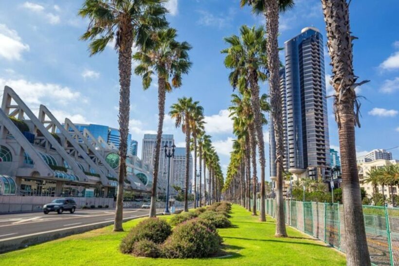 San Diego: Private custom tour with a local guide - Accessibility and Practical Details
