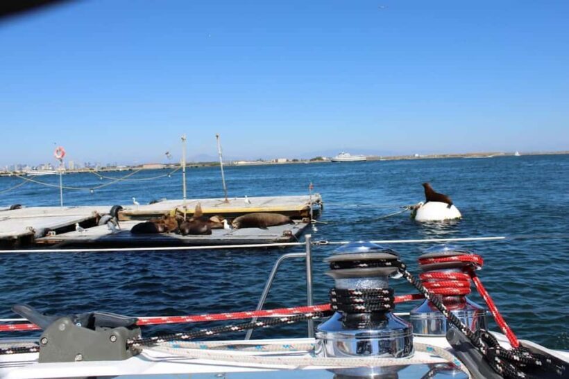 San Diego: Private Morning Sail up to 12 guests - Final Thoughts