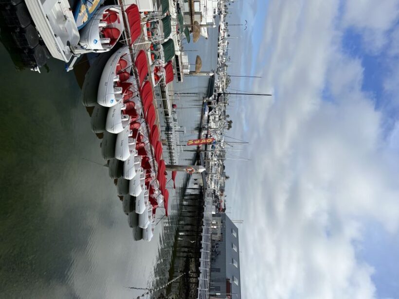 San Diego: San Diego Bay Dog-Friendly Eco Pedal Boat Rentals - An In-Depth Look at the San Diego Bay Eco Pedal Boat Experience