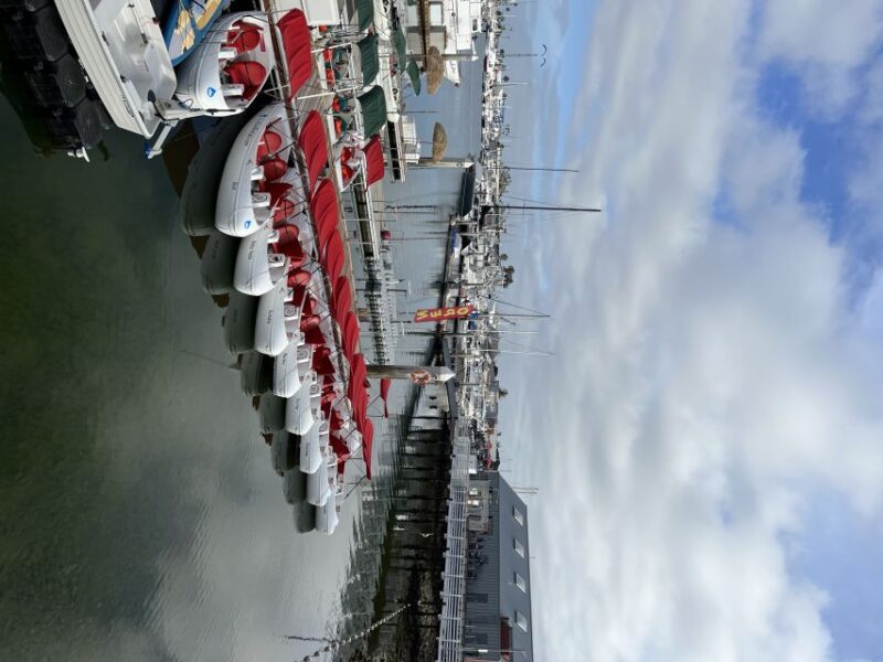 San Diego: San Diego Bay Dog-Friendly Eco Pedal Boat Rentals - The Scenic Highlights and Stops