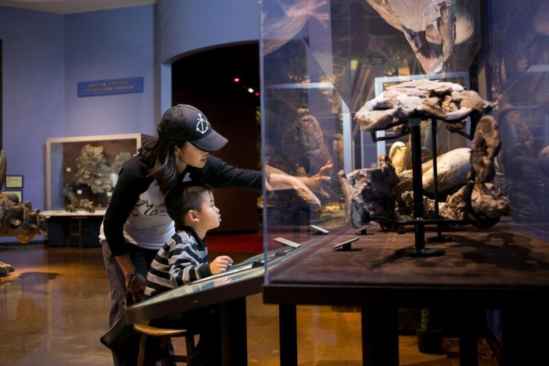 San Diego: San Diego Natural History Museum Ticket - Who Will Love This Museum?