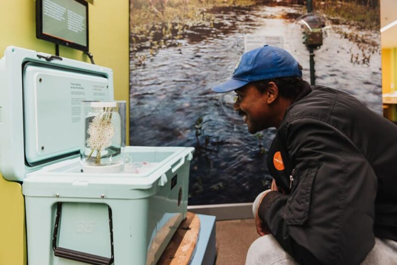 San Diego: San Diego Natural History Museum Ticket - The Sum Up