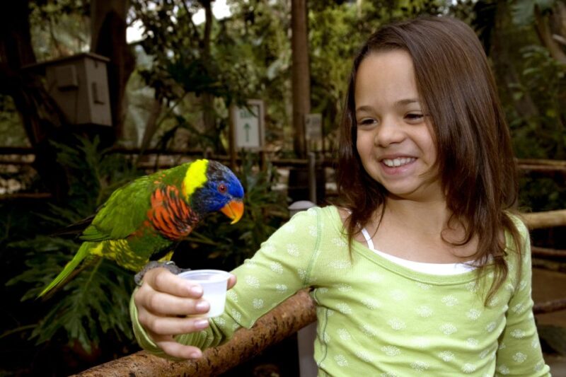 San Diego: San Diego Zoo Safari Park 1-Day Ticket - The Sum Up: Who Will Love the Safari Park?