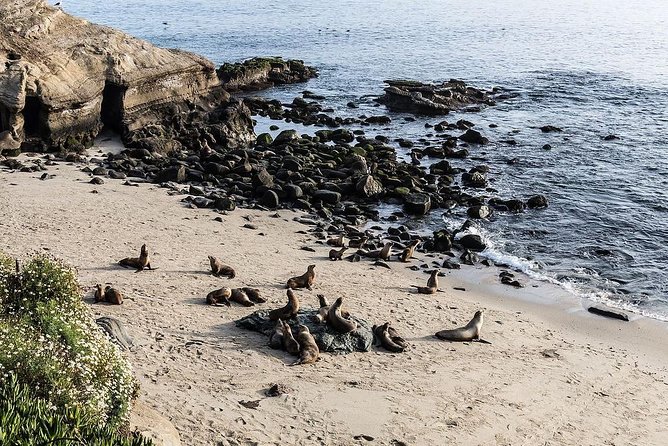 San Diego Scenic Tour - The Sum Up: Who Should Consider This Tour?