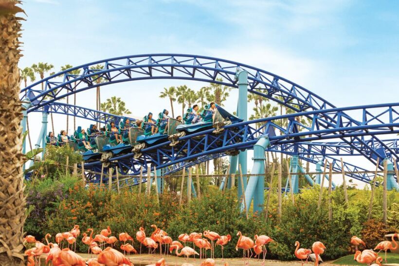 San Diego: SeaWorld Skip-the-Line Park Admission Ticket - Who Will Enjoy This Tour?