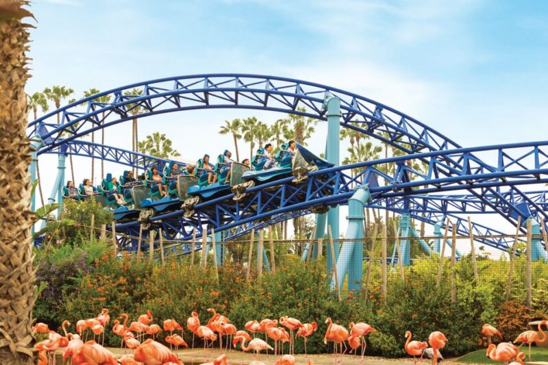 San Diego: SeaWorld Skip-the-Line Park Admission Ticket - The Thrilling Rides: Fast-Paced Fun for Adrenaline Junkies