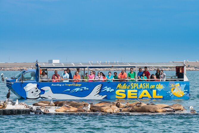 San Diego Shore Excursion: San Diego Seal Tour - Narrated Tour Highlights