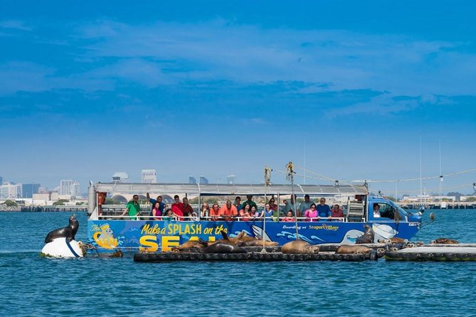 San Diego Shore Excursion: San Diego Seal Tour - Wildlife Spotting Opportunities