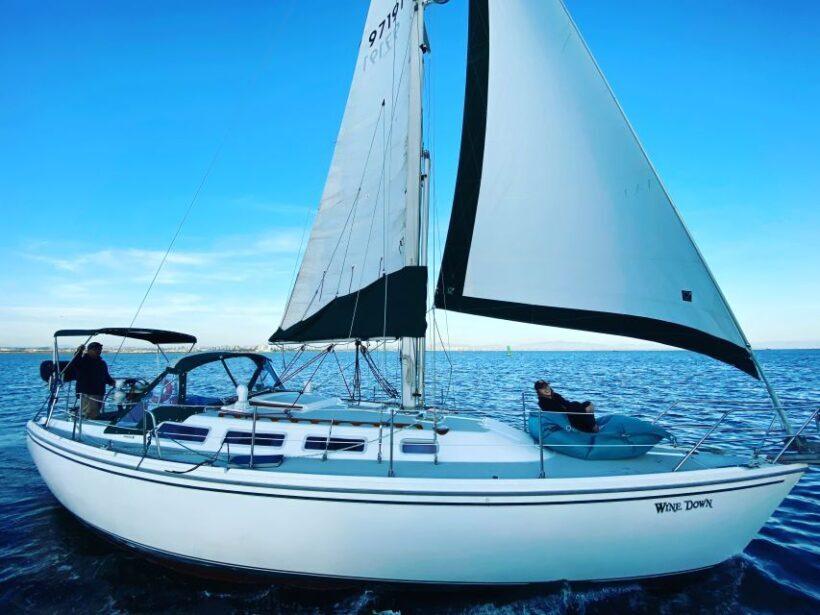 San Diego: Sunset and Day Sailing Excursion with Drinks - Authentic Feedback from Travelers