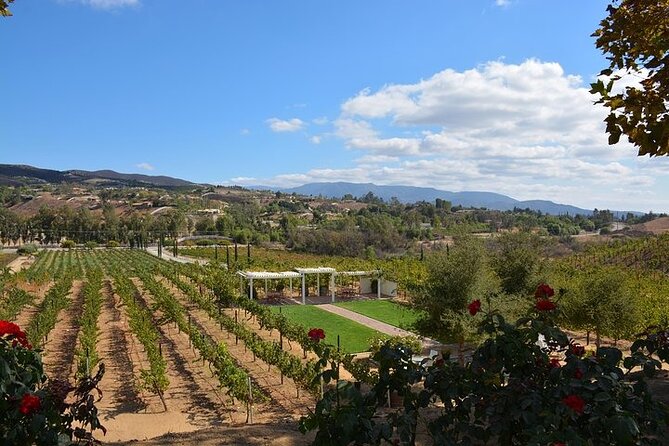 San Diego to Temecula: Wine Country Tour & Historic Old Town - Learn About Wine Tasting Techniques