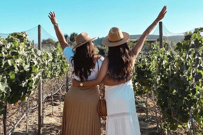 San Diego >>Valley of Guadalupe/four fours vineyard/sky winery - Who Is This Tour Best For?