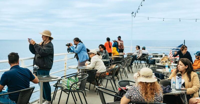 San Diego: Whale and Dolphin Watching Cruise - An In-Depth Look at the Experience