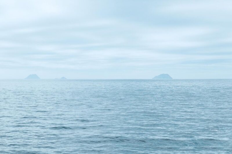 San Diego: Whale and Dolphin Watching Cruise - FAQ