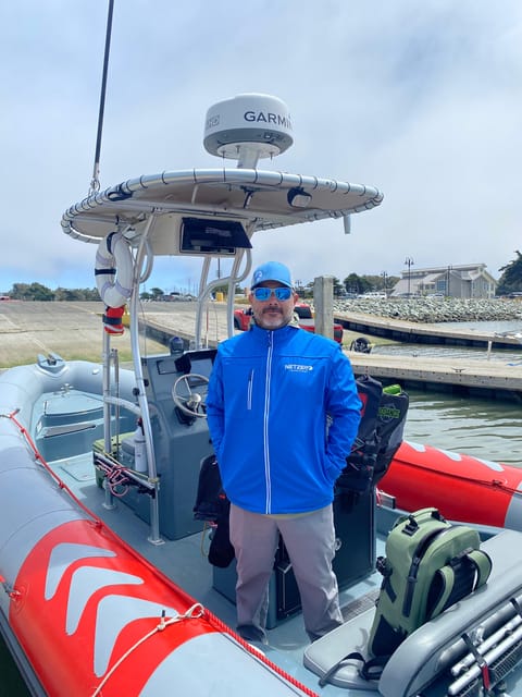 San Diego: Whale and Dolphin Watching Speedboat Tour - Key Points