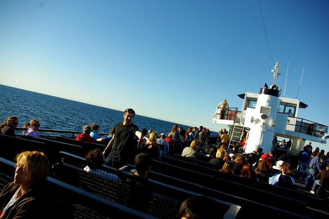 San Diego Whale Watching Cruise - Customer Feedback and Reviews