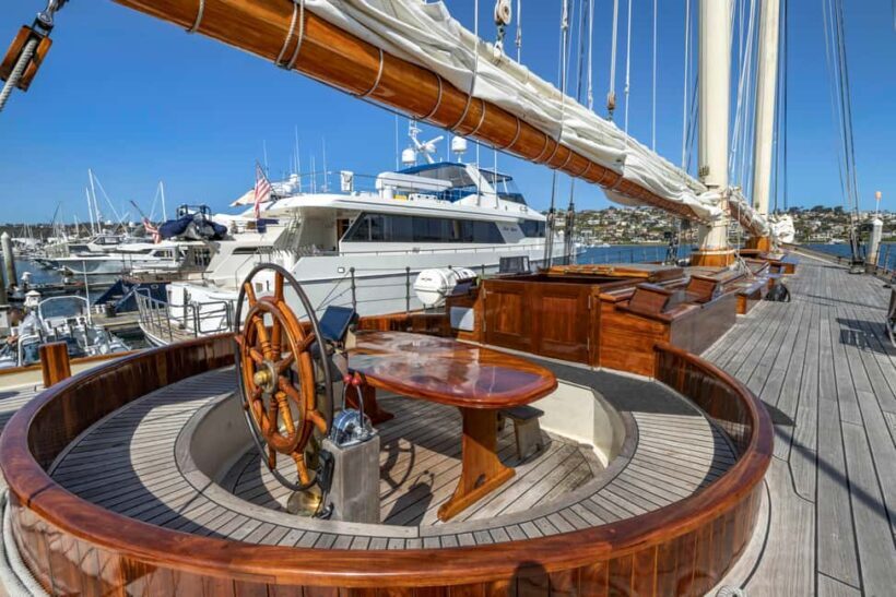 San Diego: Whale Watching Cruise on the Yacht America - Reviews and Real Experiences
