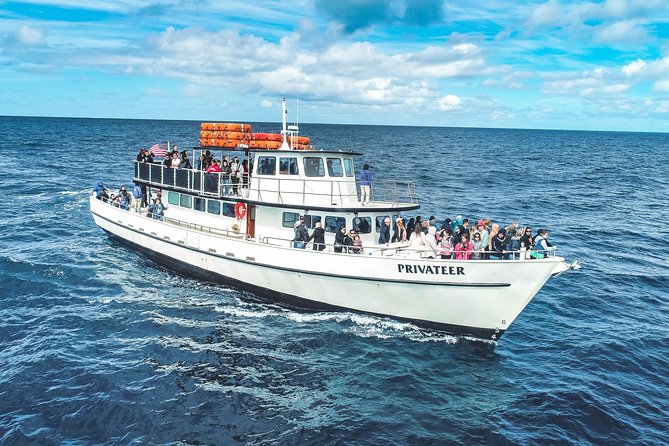 San Diego Whale Watching Tour - FAQ