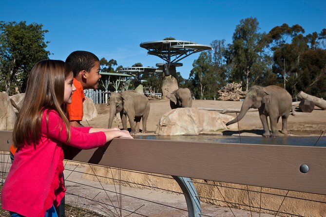 San Diego Zoo and Safari Park 2-Visit Pass Ticket - Ticket Overview and Options