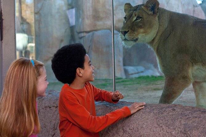 San Diego Zoo Safari Park 1-Day Pass: Any Day Ticket - The Price and Overall Value