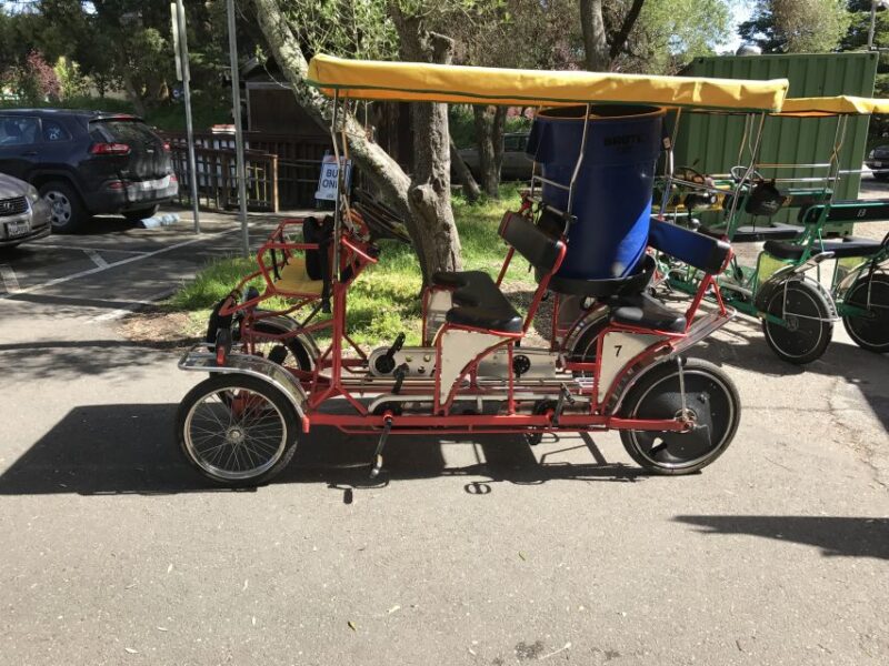 San Fancisco: Golden Gate Park Surrey Rental - San Francisco: Golden Gate Park Surrey Rental — A Practical, Family-Friendly Way to Enjoy the Park