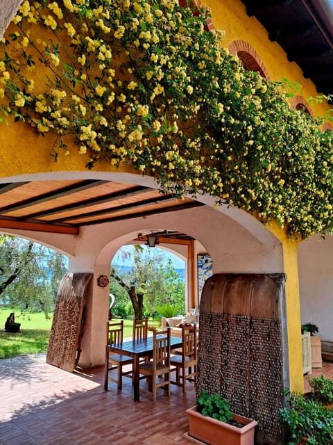 San Felice: Olive Oil Tasting with local food on Garda Hills - Why This Tour Works Well