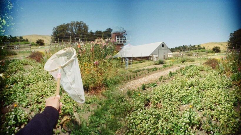 San Francisco: 5-Day California Coast, Vineyards & Wine Tour - Key Points