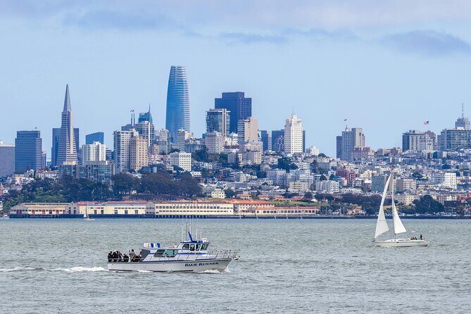 San Francisco Alcatraz, Ferry and 2 Day Hop On Hop Off Bus Tour - Final Thoughts