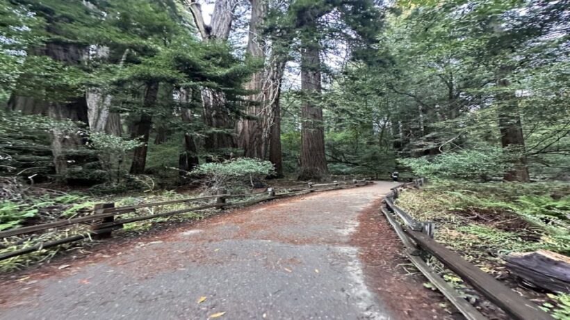 San Francisco: Alcatraz, Muir Woods and Sausalito Day Tour - The Review from Participants