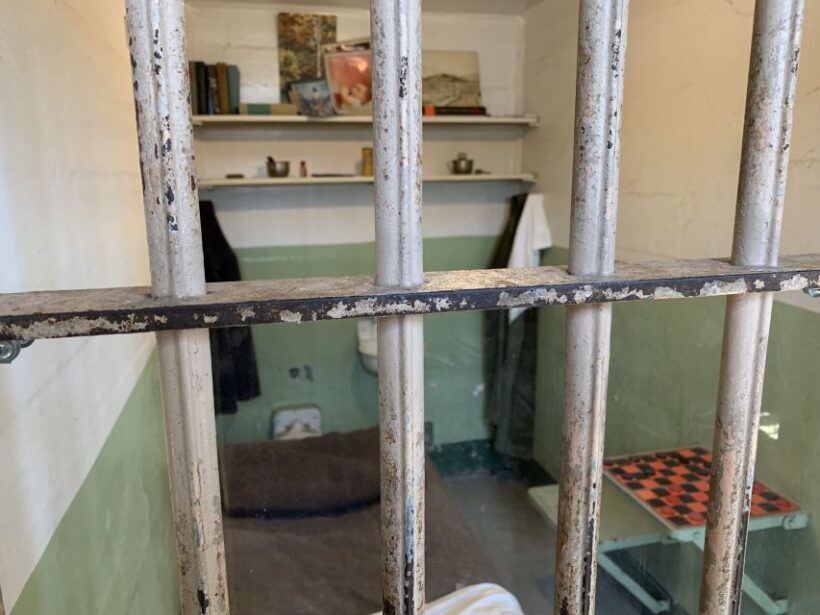 San Francisco: Alcatraz Tour with Muir Woods and Sausalito - Who This Tour Is Best For
