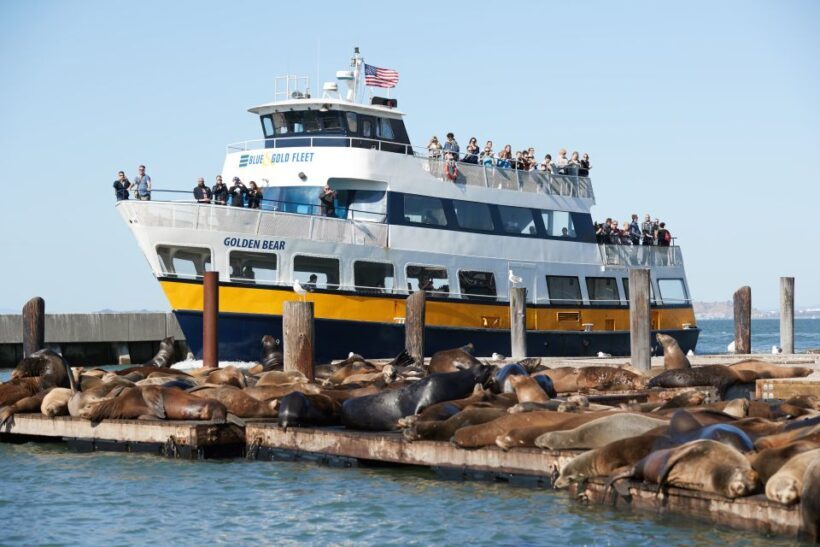 San Francisco: Alcatraz with San Francisco Bay Cruise - The Full Experience: What You Can Expect