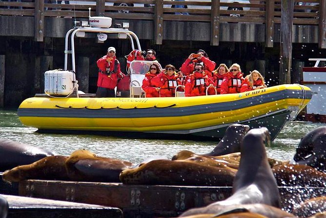 San Francisco Bay Adventure Sightseeing Cruise - Who Will Love This Tour?