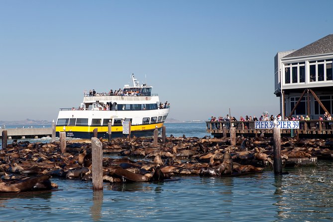 San Francisco Bay Cruise - Meeting Point and Accessibility Features