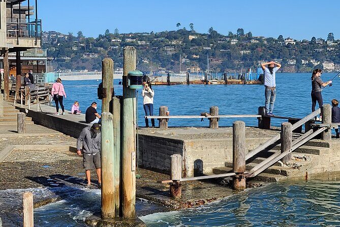 San Francisco Bay Cruise, Muir Woods and Sausalito Combo Tour - What Travelers Say