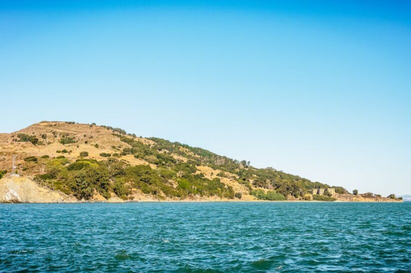 San Francisco: Bay Sailing Tour with Drinks - Who Will Appreciate This Experience?