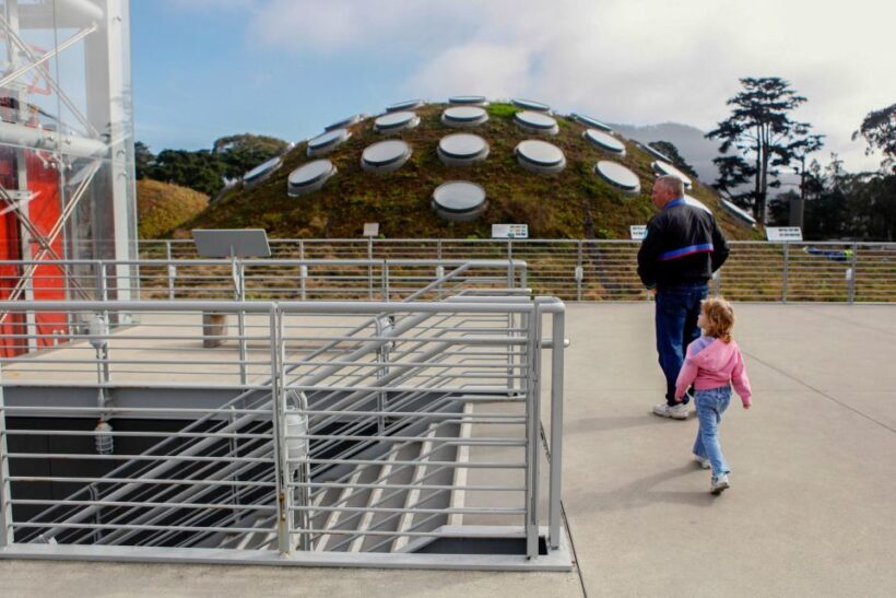 San Francisco: California Academy of Sciences Entry Ticket - Hands-On and Educational Experiences