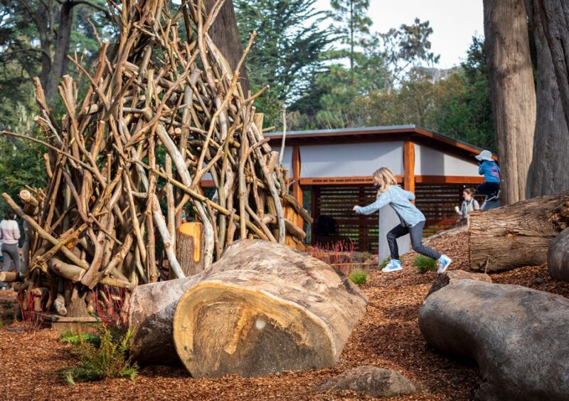 San Francisco: California Academy of Sciences Entry Ticket - The Sum Up